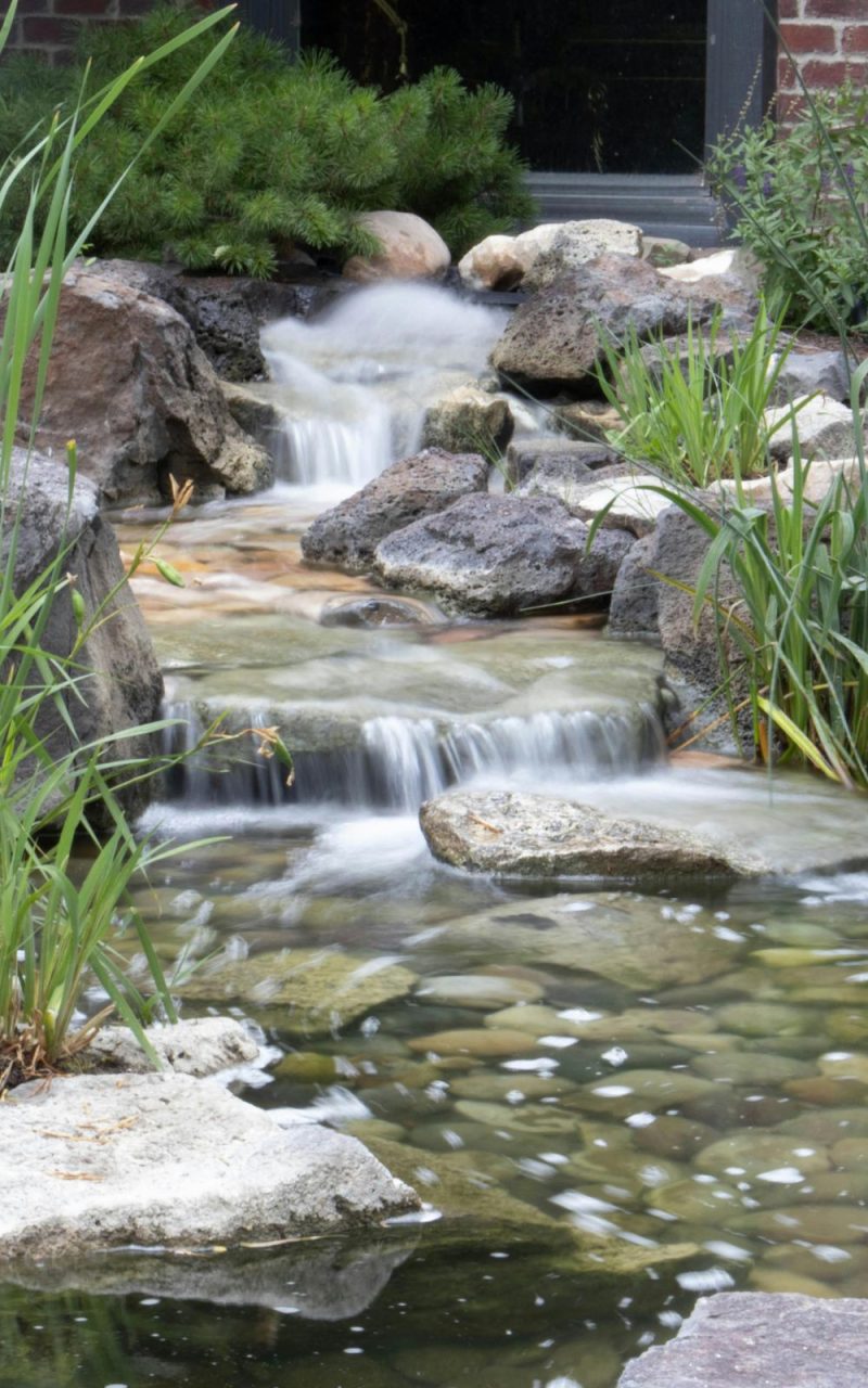 Should You Add a Water Feature to Your Landscape? Here’s What to Know ...